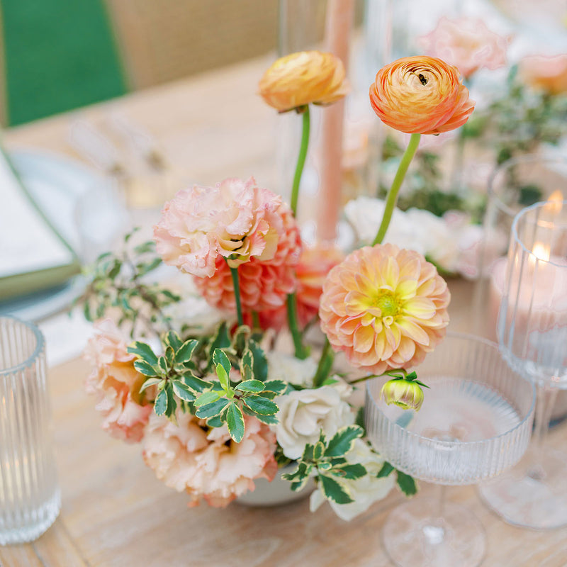 Casey & Kyle – Native Poppy