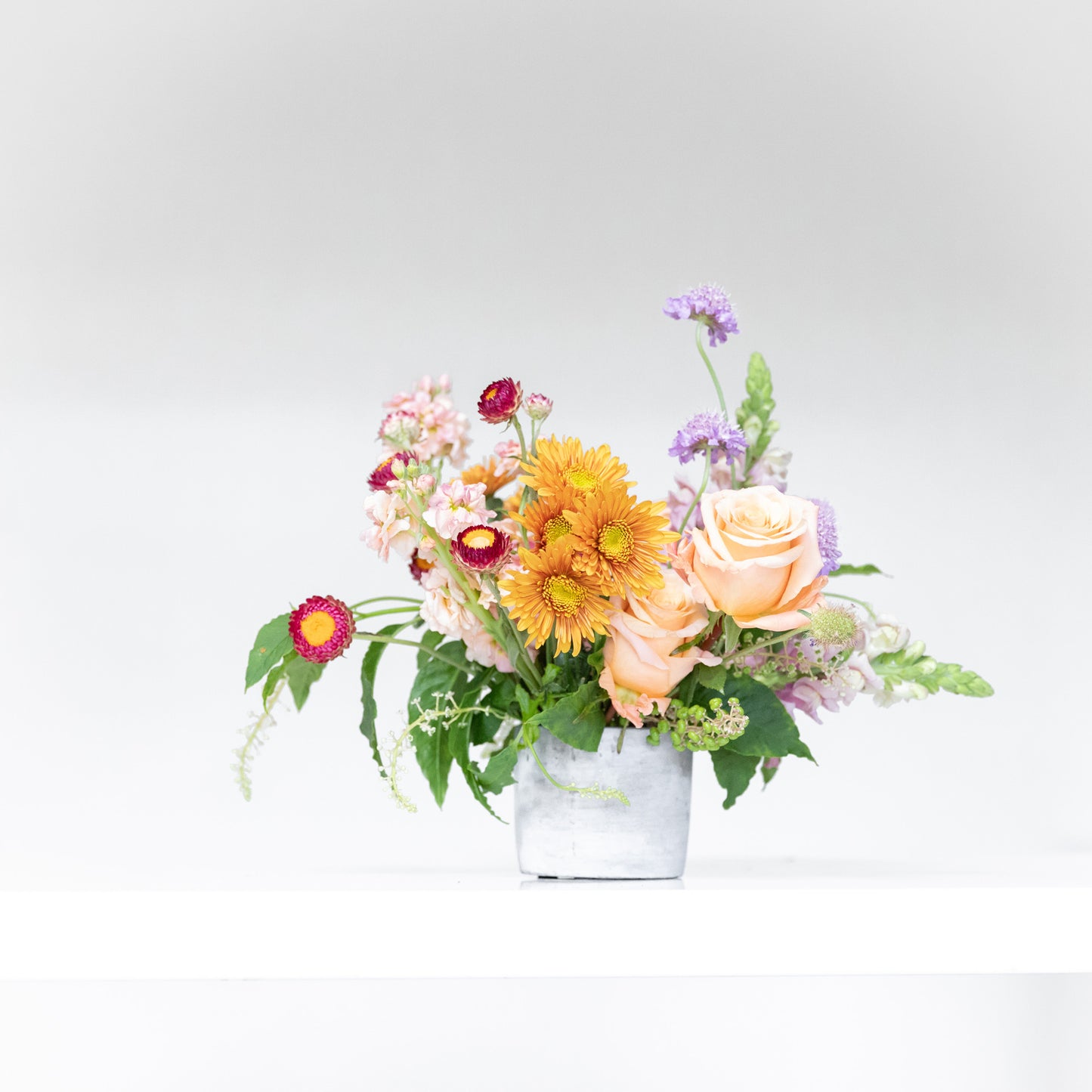 Petite Arranged Flowers | Native Poppy